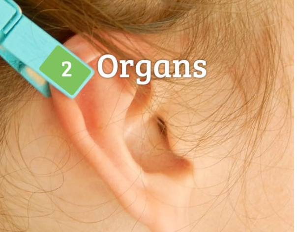 An Easy Pain Relief Method You Can Use By Pinching Your Ears