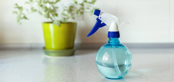 DIY Lemon Infused Disinfectant Spray Cleaner