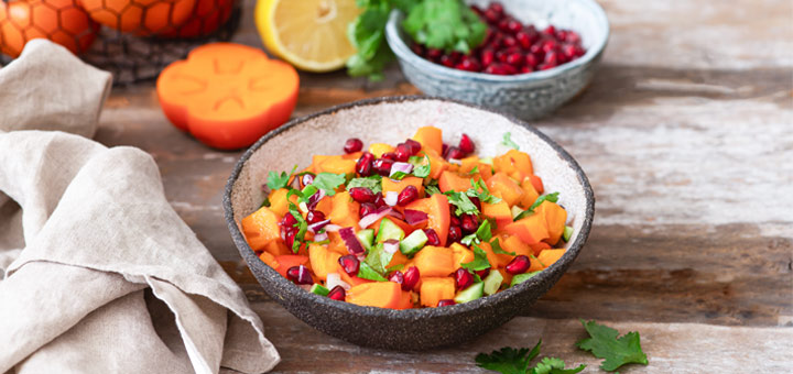 Persimmon Pomegranate Salsa - Dherbs.com - Recipes