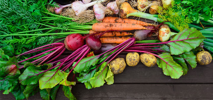 The Top 8 Healthiest Root Vegetables - Dherbs.com - Articles